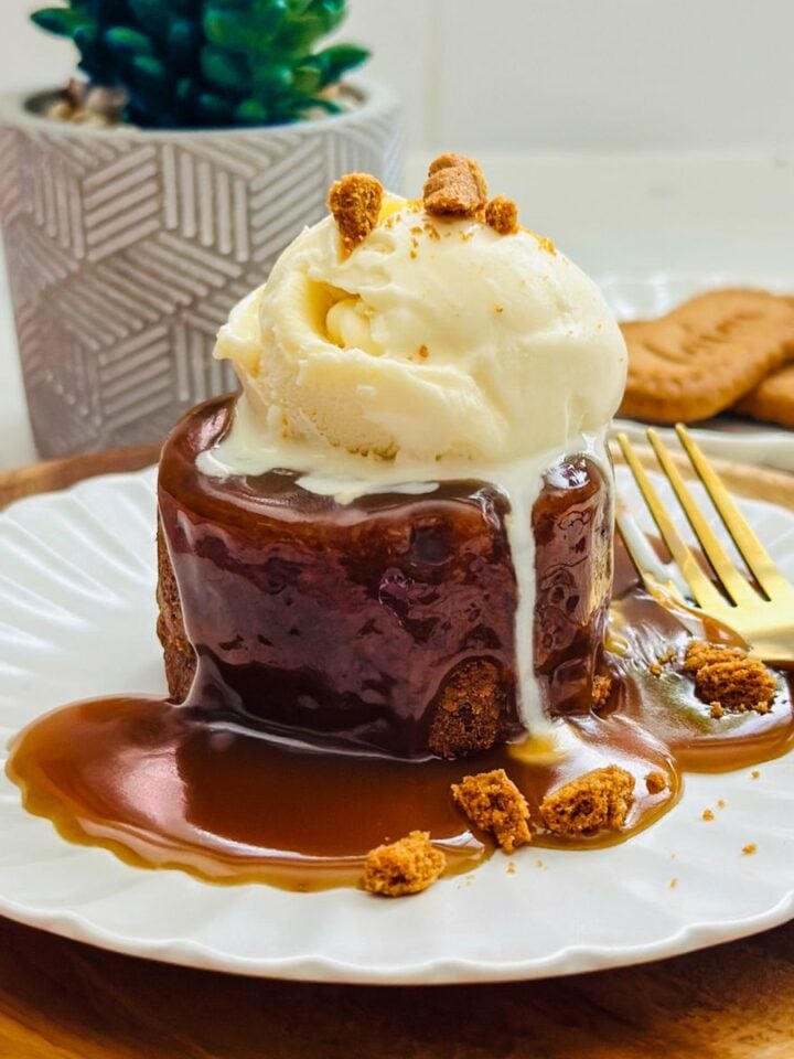 Shanghai Fried Rice - Deliciously Rushed