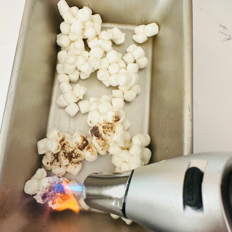 Ninja Creami Campfire S'mores Ice Cream Recipe - Deliciously Rushed