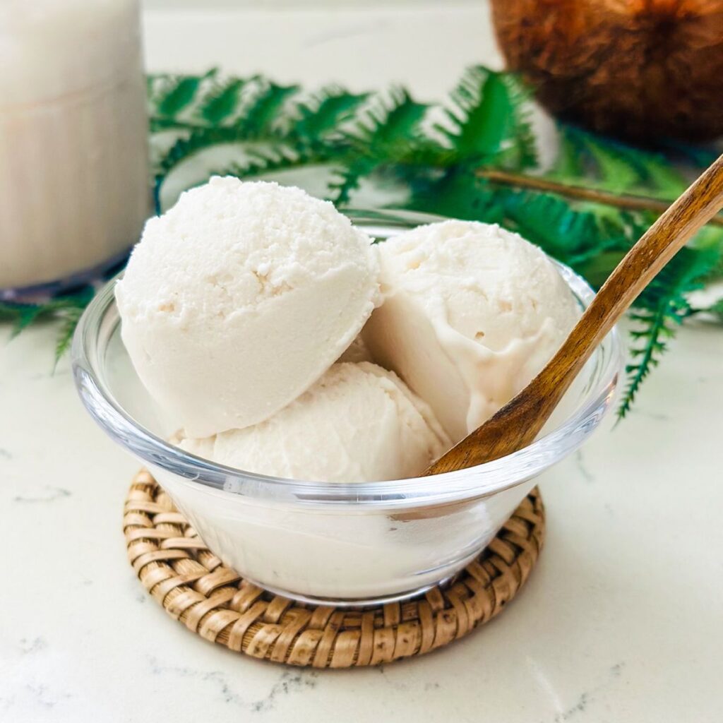 Ninja Creami Vanilla Coconut Ice Cream Recipe (Dairy Free ...
