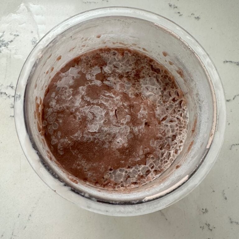 Ninja Creami MILO Chocolate Malt Ice Cream Recipe - Deliciously Rushed