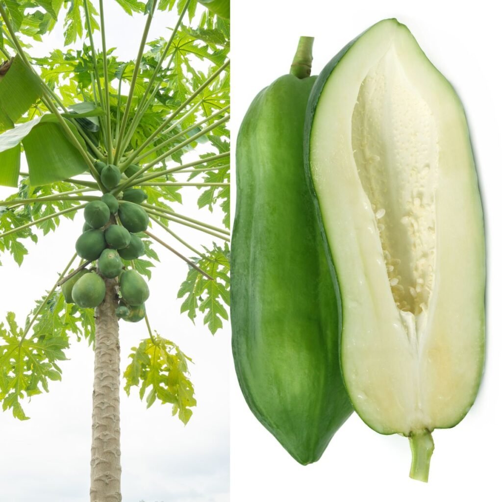 Chicken Papaya Soup (Tinola) - Deliciously Rushed