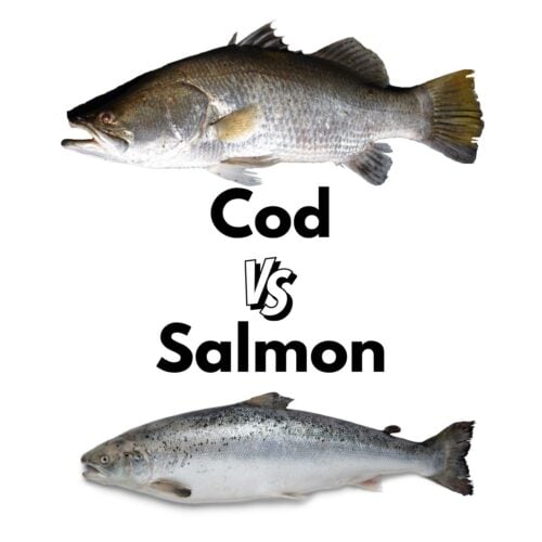 Cod vs Salmon: Compare Taste, Nutrition, and Cooking Tips - Deliciously ...