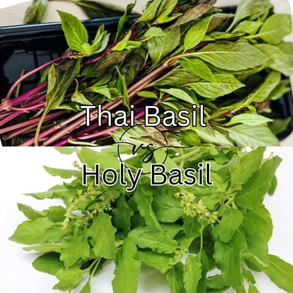 Holy Basil vs Thai Basil: Key Differences & Best Uses - Deliciously Rushed